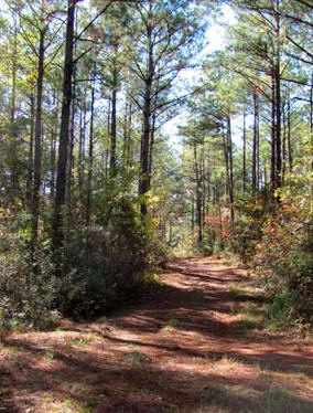 Fort Perry, Marion County GA